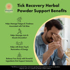 dandelion tea powder for wellness