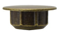 Dandribis Antique Caps zinc supplements