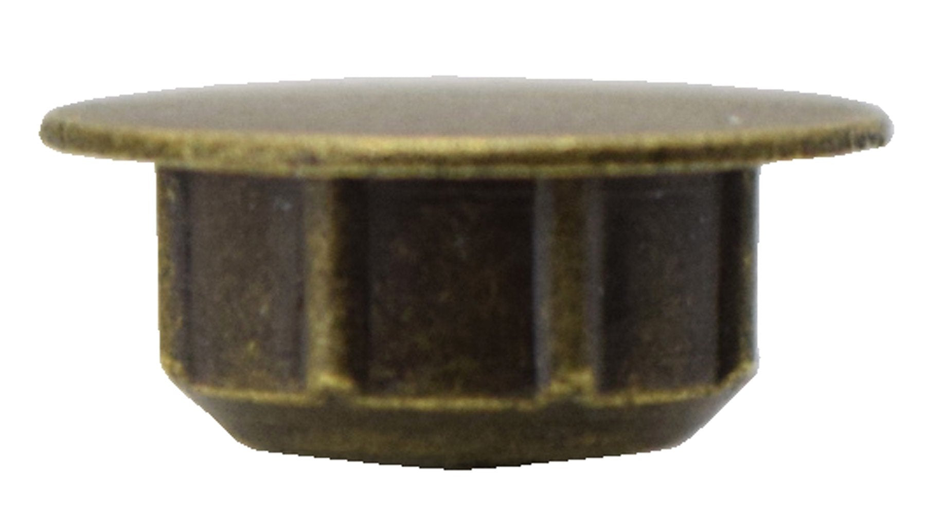 Dandribis Antique Caps zinc supplements