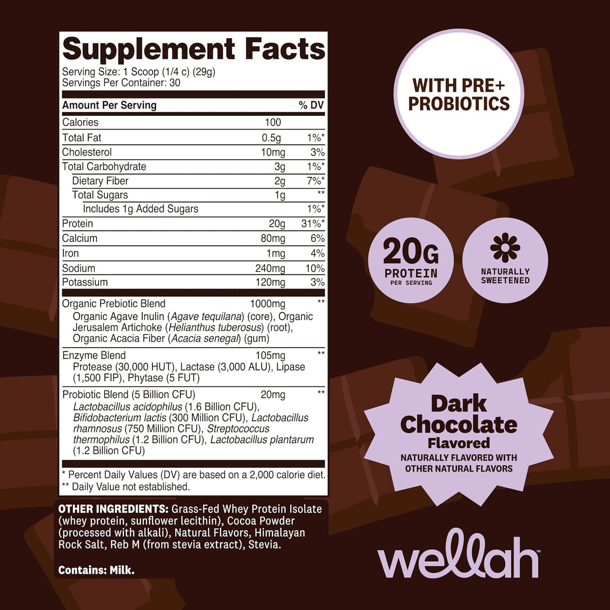 dark chocolate whey protein powder