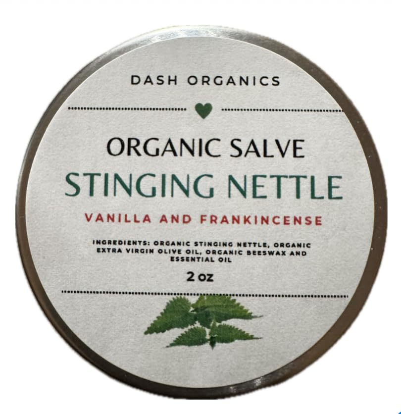 DASH ORGANICS nettle salve for skin relief