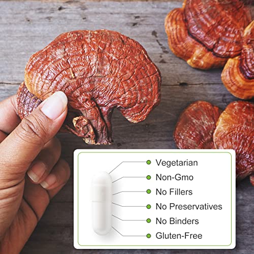 Daxmali mushrooms for enhanced mental performance