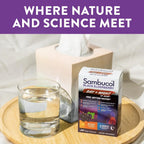 daytime and nighttime elderberry support