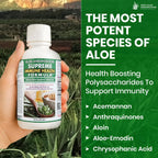 Deca Aloe Supreme 16 oz bottle