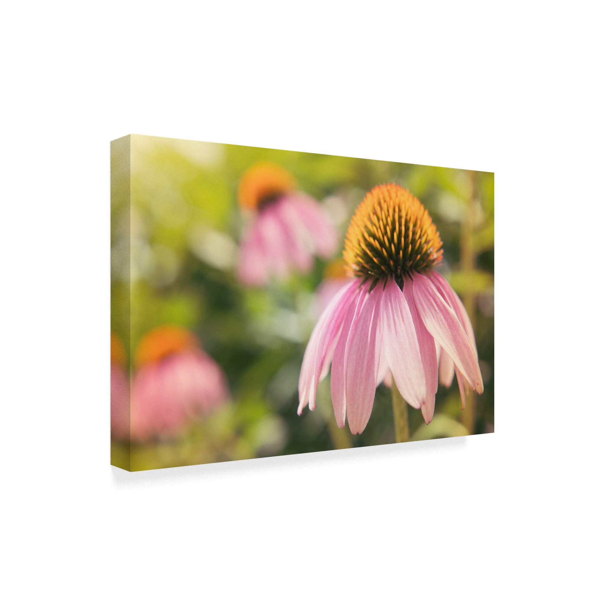 decorative echinacea piece for living room