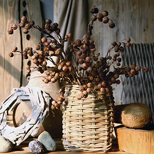 decorative orange hawthorn for fall