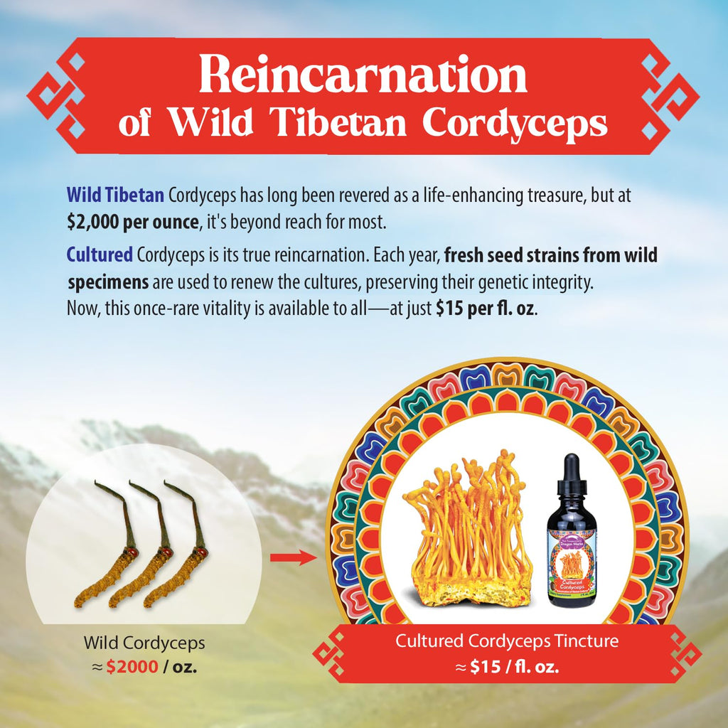 Deep rejuvenation with Cordyceps mushrooms