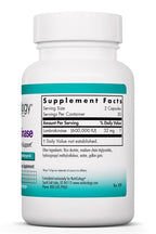 delayed release Lumbrokinase capsules