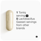 delayed release probiotic formula