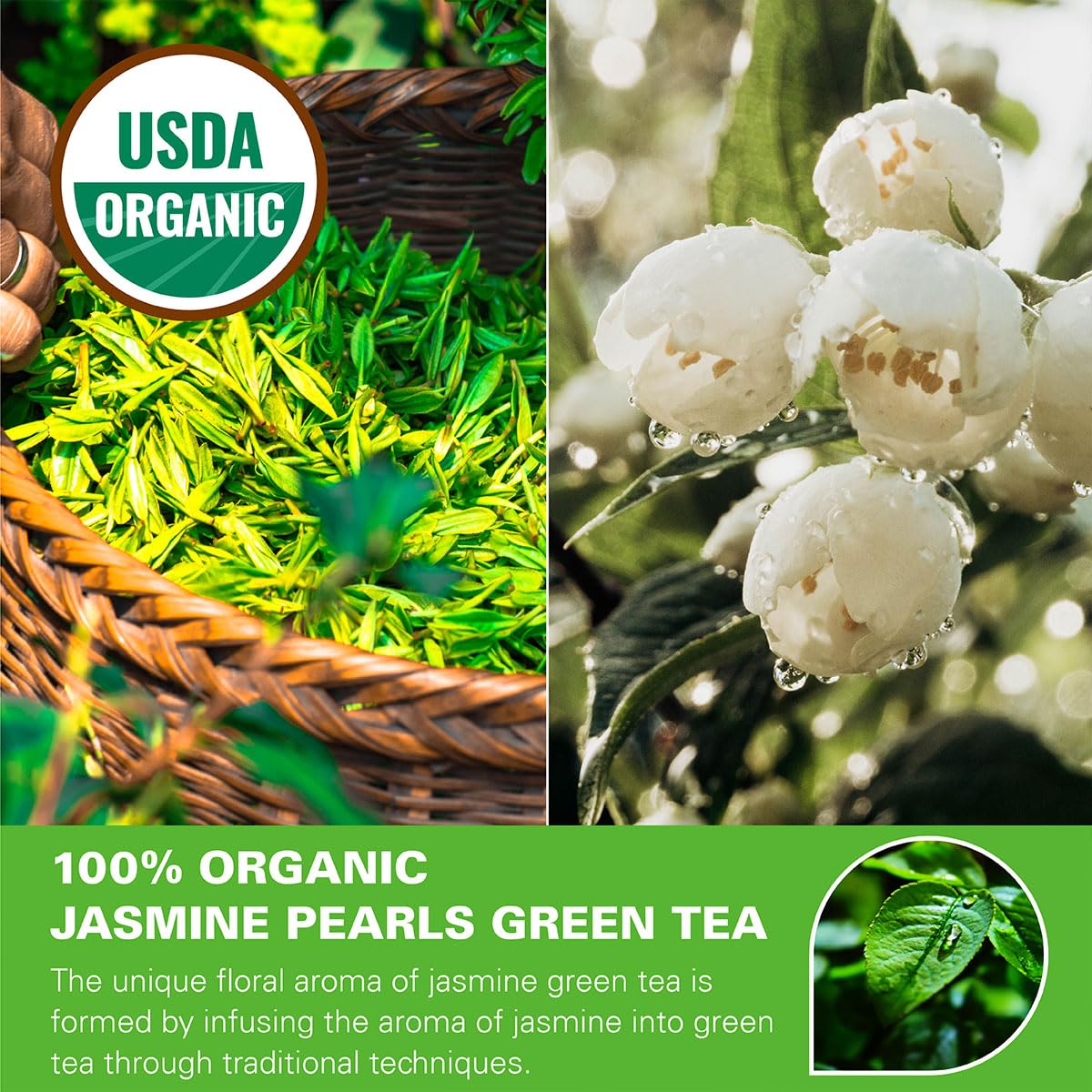 delicate jasmine pearls for brewing