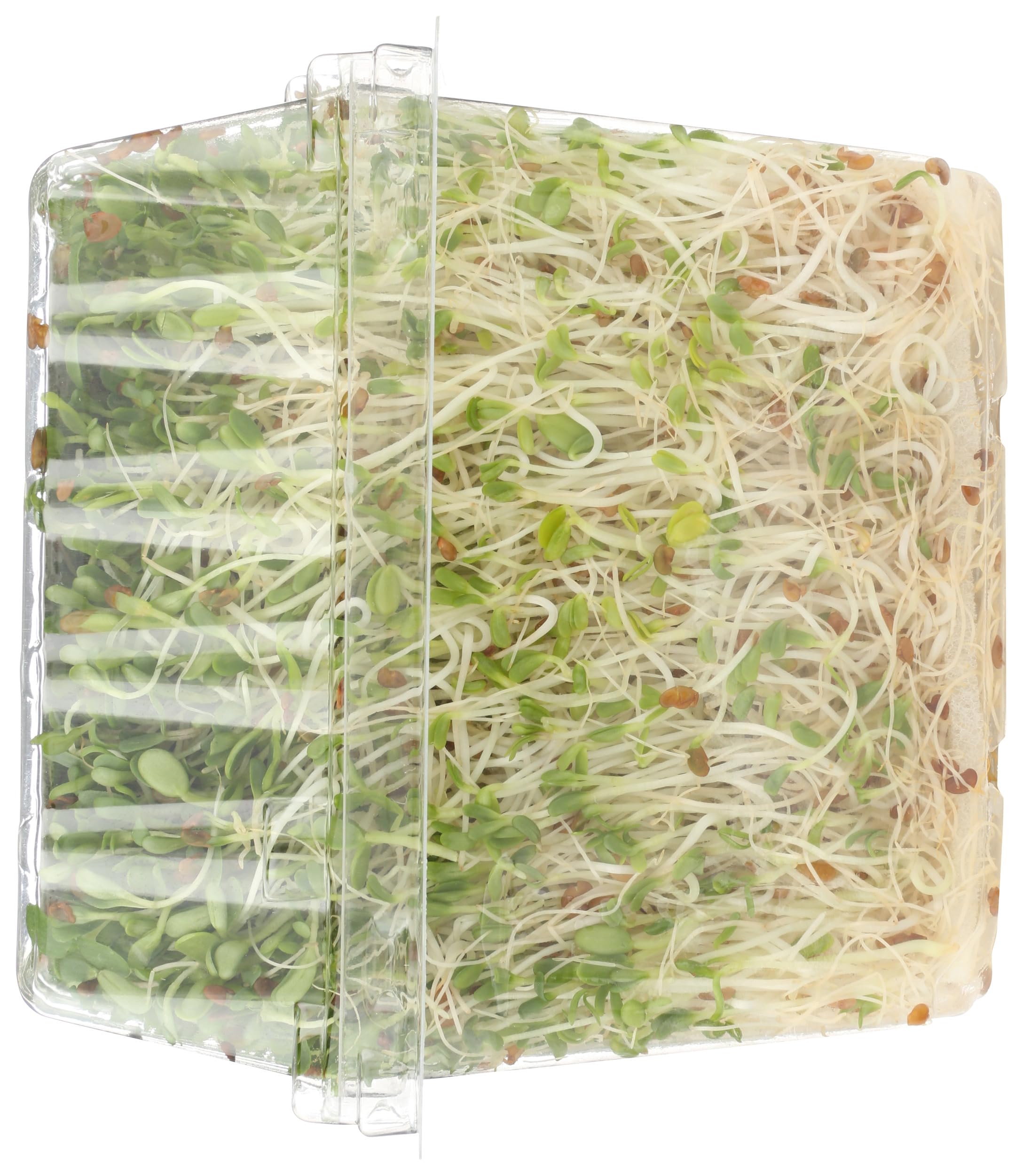 delicious alfalfa for garnishing dishes