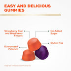 Delicious Align gummies for gut balance