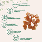 delicious ashwagandha gummies for daily use