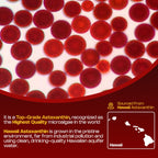 Delicious Astaxanthin gummies for health
