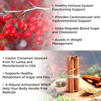 delicious berberine gummies for daily wellness