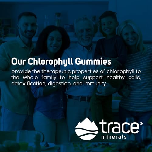 delicious berry chlorophyll gummies for adults