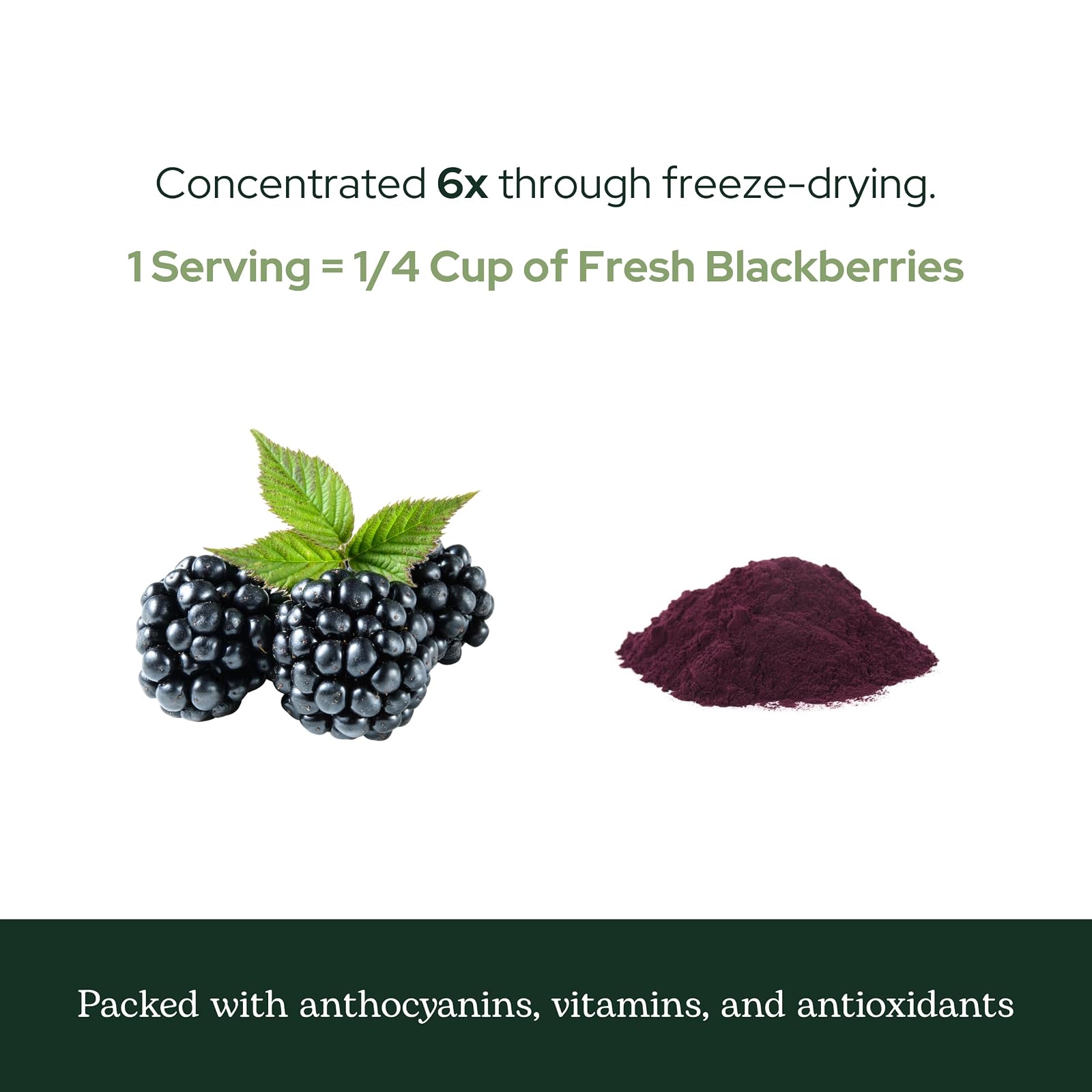 delicious blackberry powder for health