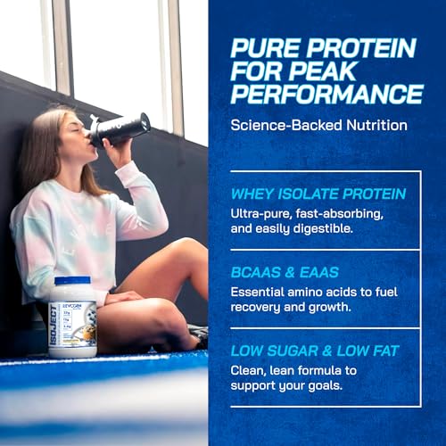 delicious blueberry muffin protein