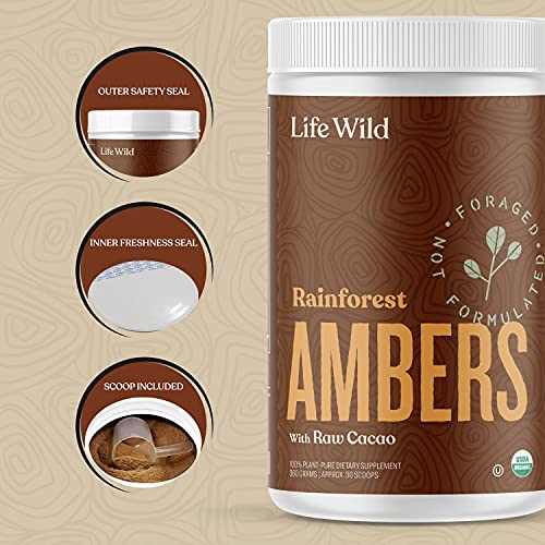 delicious cacao and chai mushroom mix