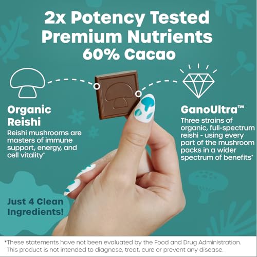 delicious cacao and mushroom blend