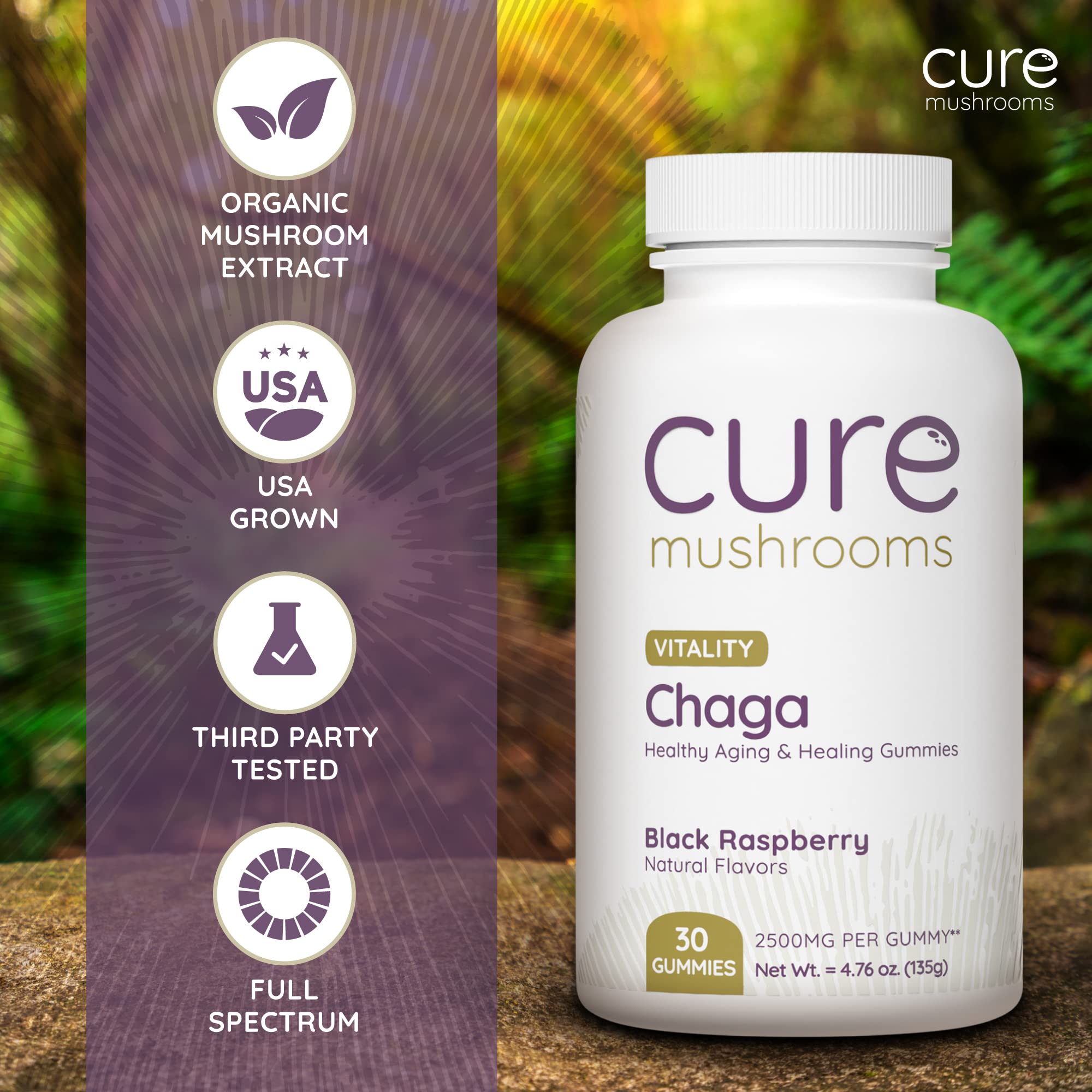 delicious chaga gummies for daily use
