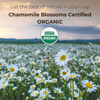 delicious chamomile tea for wellness
