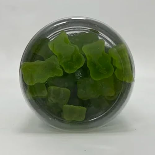 delicious chlorophyll gummies for daily wellness