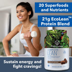 delicious chocolate brownie protein shake
