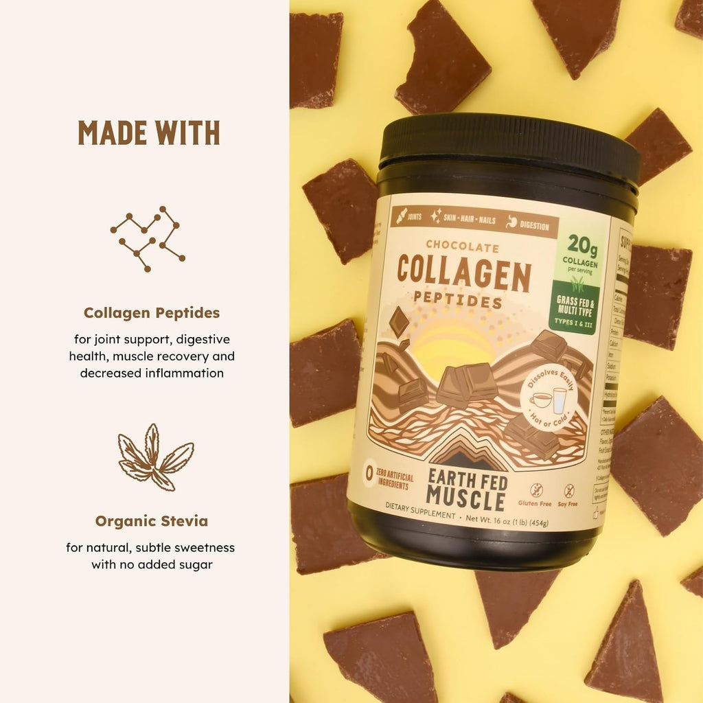 delicious chocolate collagen supplement