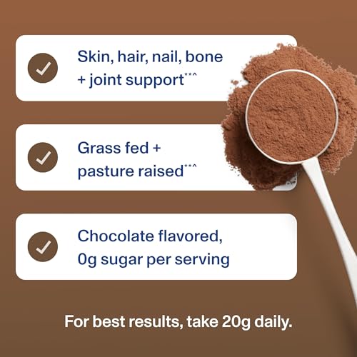delicious chocolate collagen supplement
