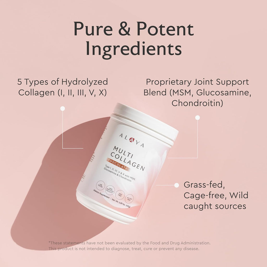 delicious chocolate collagen supplement
