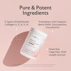 delicious chocolate collagen supplement