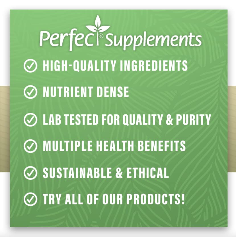 delicious chocolate collagen supplement