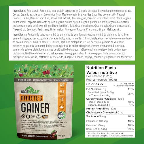 delicious chocolate flavour gainer