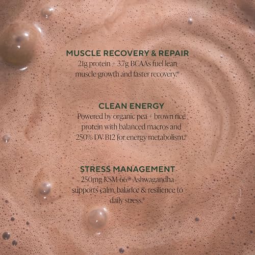 delicious chocolate flavour protein powder
