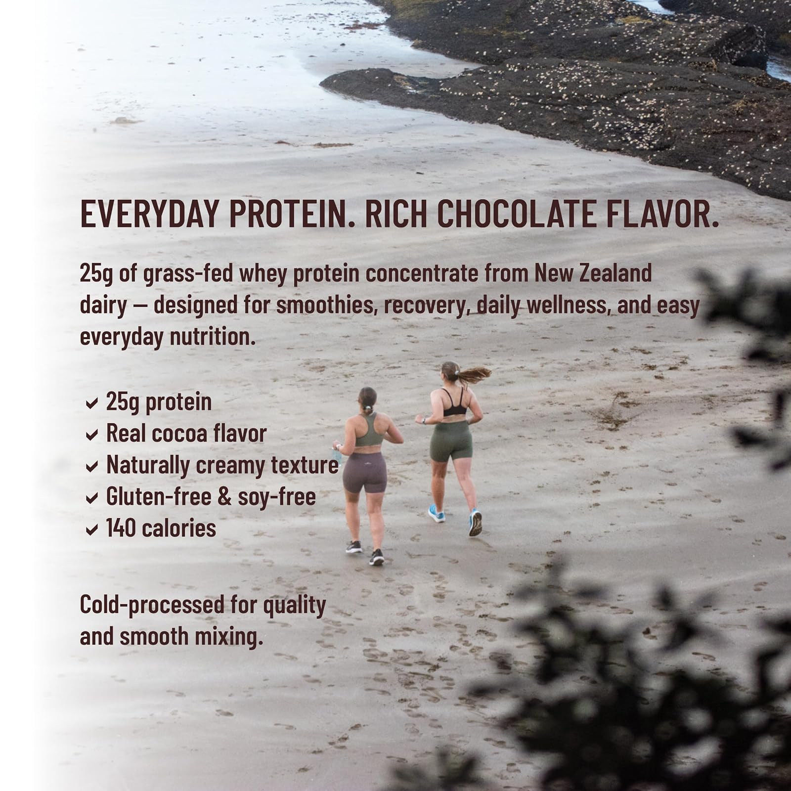 delicious chocolate flavour protein powder