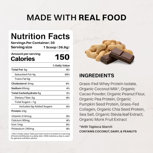 delicious chocolate flavour protein powder