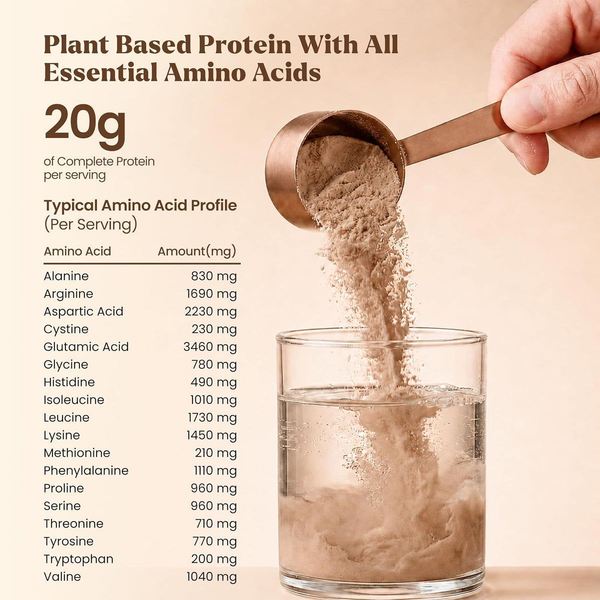 delicious chocolate flavour protein powder