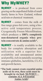 delicious chocolate flavour protein powder