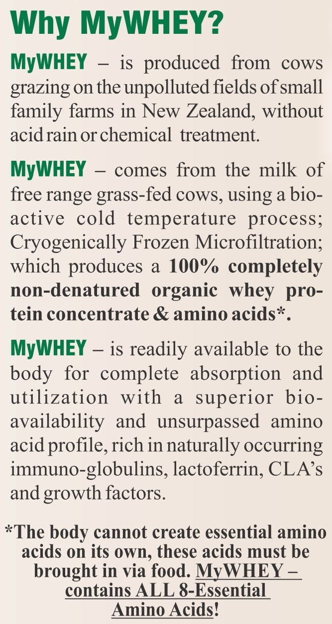 delicious chocolate flavour protein powder