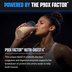 delicious chocolate flavour protein supplement