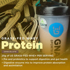 delicious chocolate flavour protein