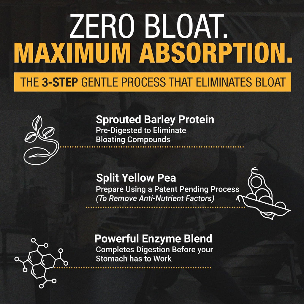 delicious chocolate flavour protein