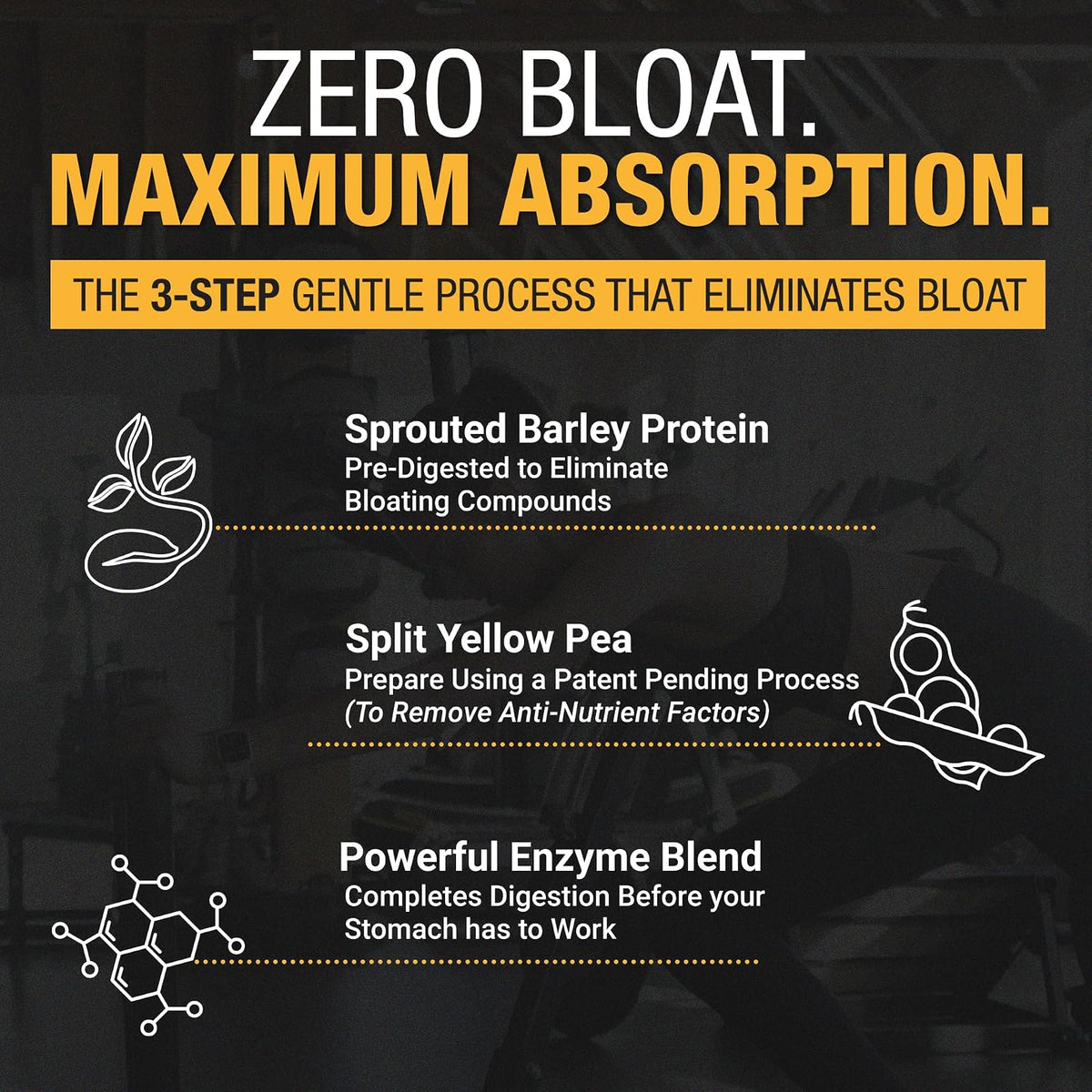 delicious chocolate flavour protein