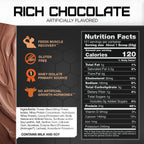 delicious chocolate flavour protein