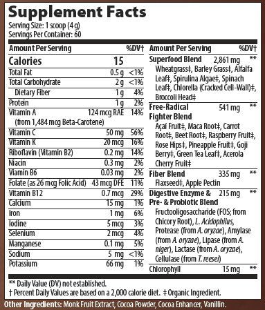 delicious chocolate flavour smoothie mix