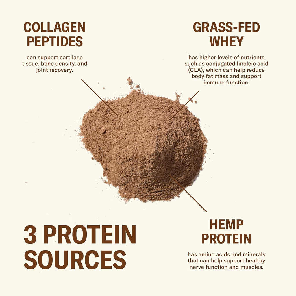 Delicious chocolate flavour whey powder