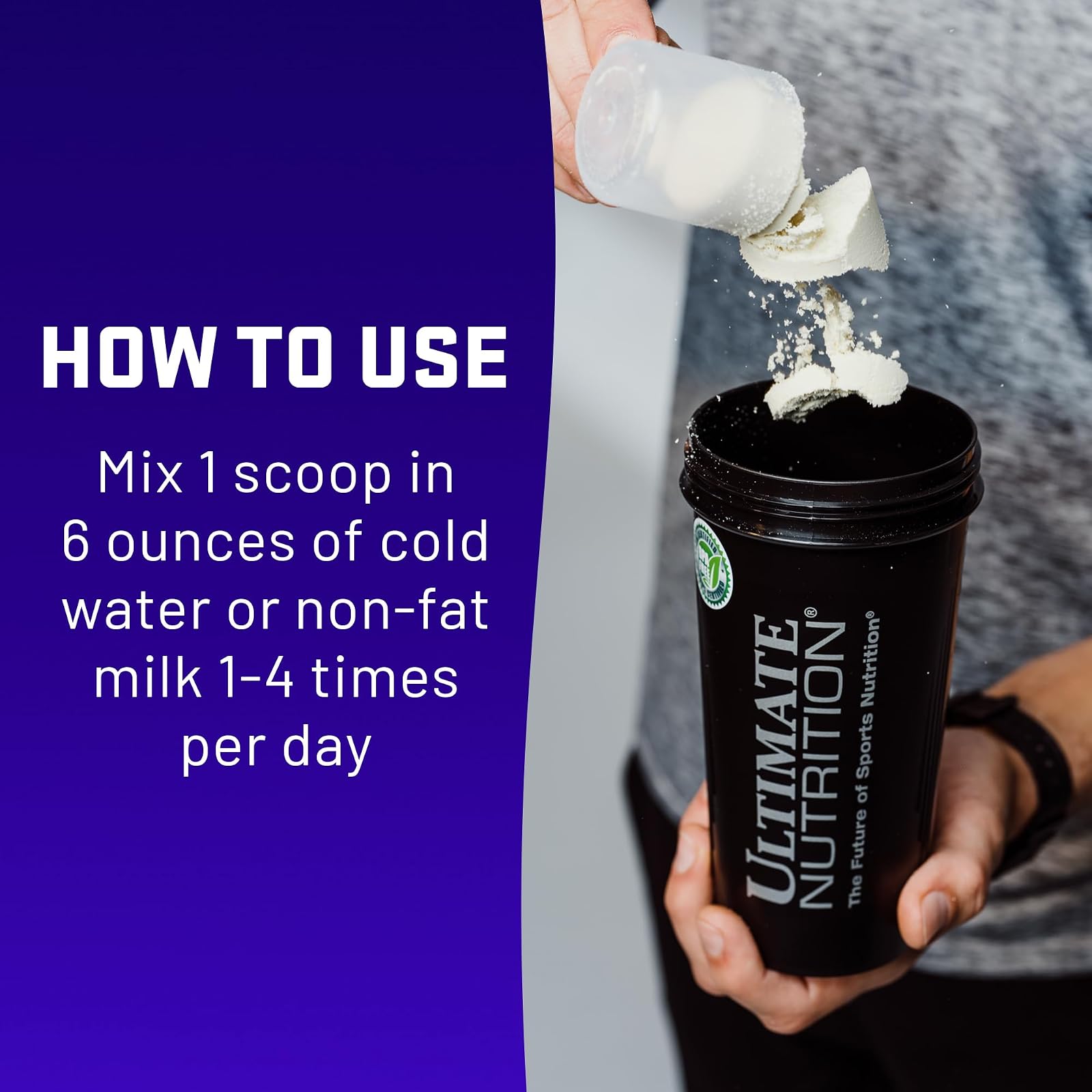 delicious chocolate fudge protein shake