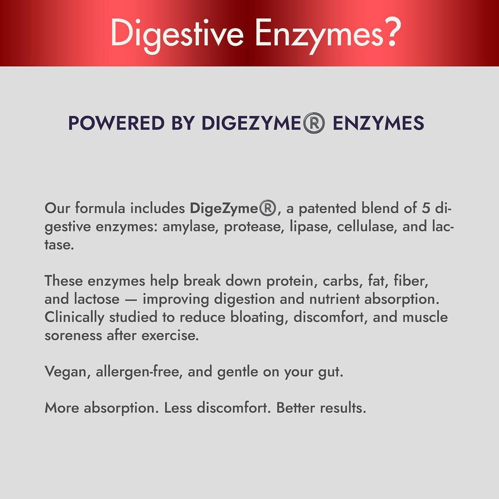 delicious chocolate milk protein powder