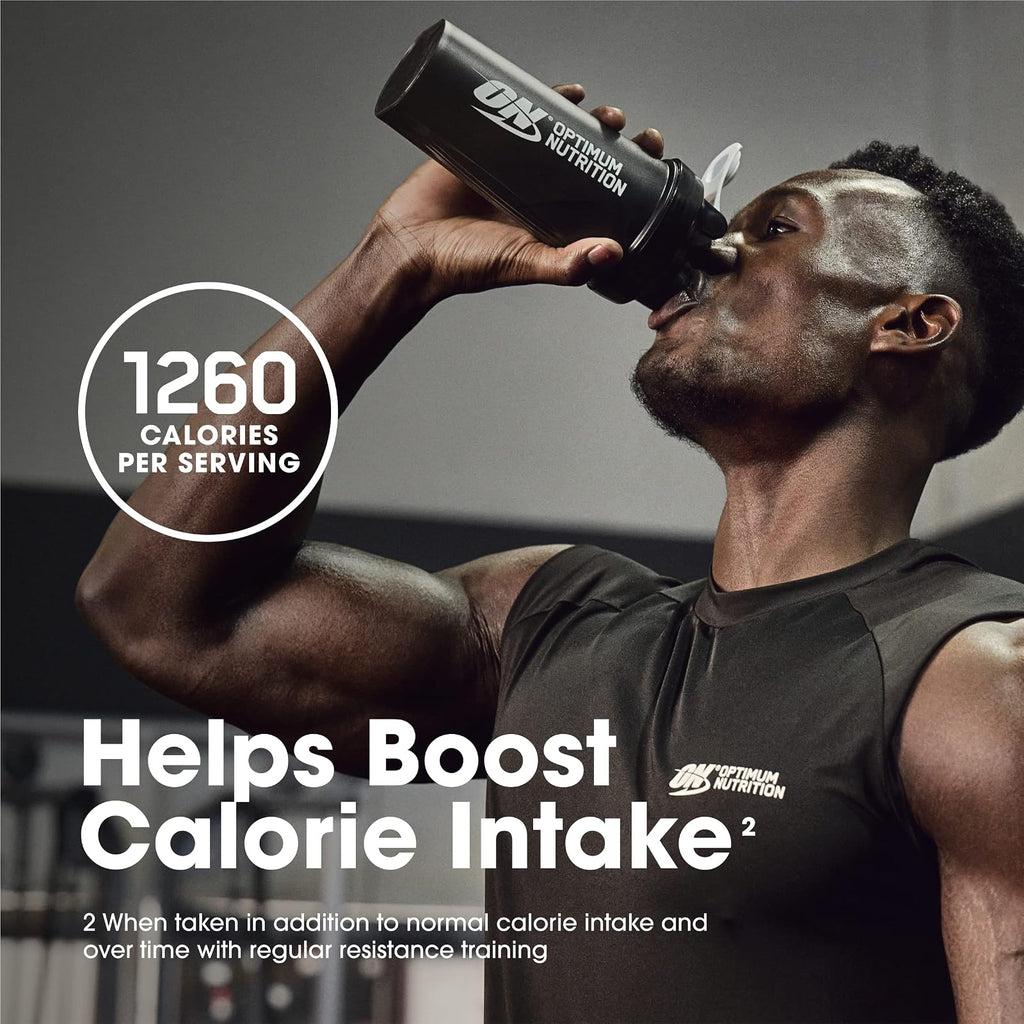 delicious chocolate protein for bulking